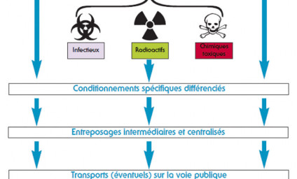 DASRI, DAOM : regardons nos poubelles ! – L'Information Dentaire