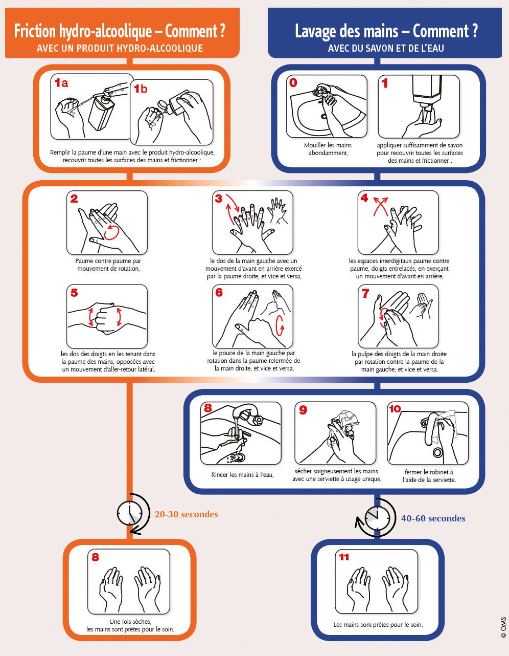 Prévention des infections et lavage des mains – L'Information Dentaire