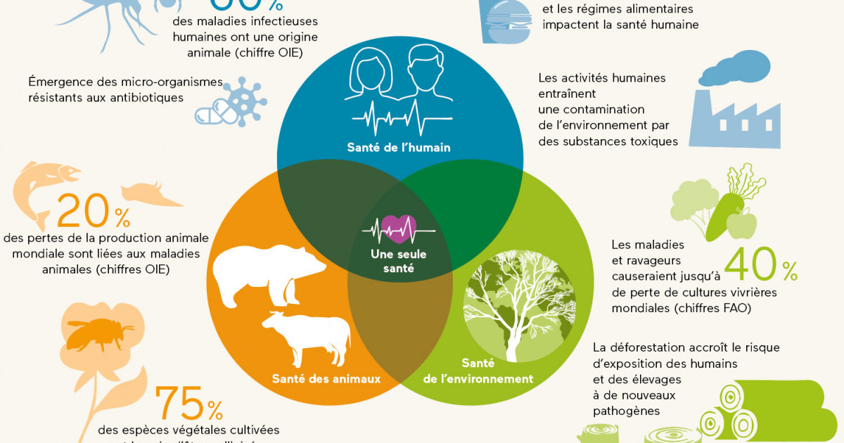 Le concept de One Health – L'Information Dentaire