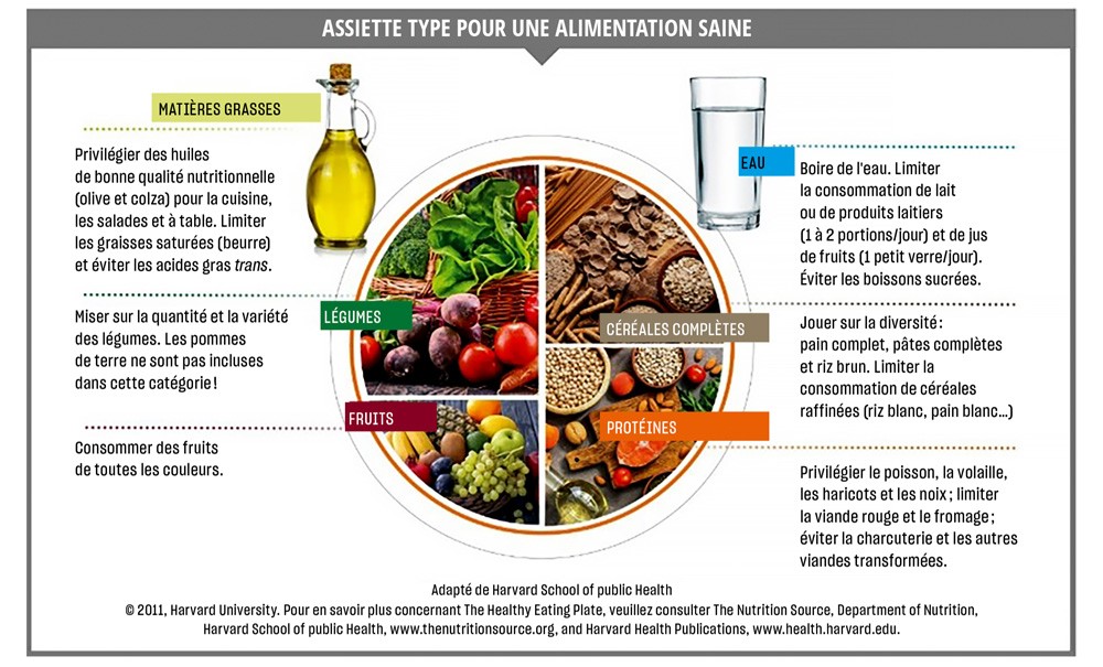 Comment bien manger et faire les bons choix pour notre santé ? – L ...