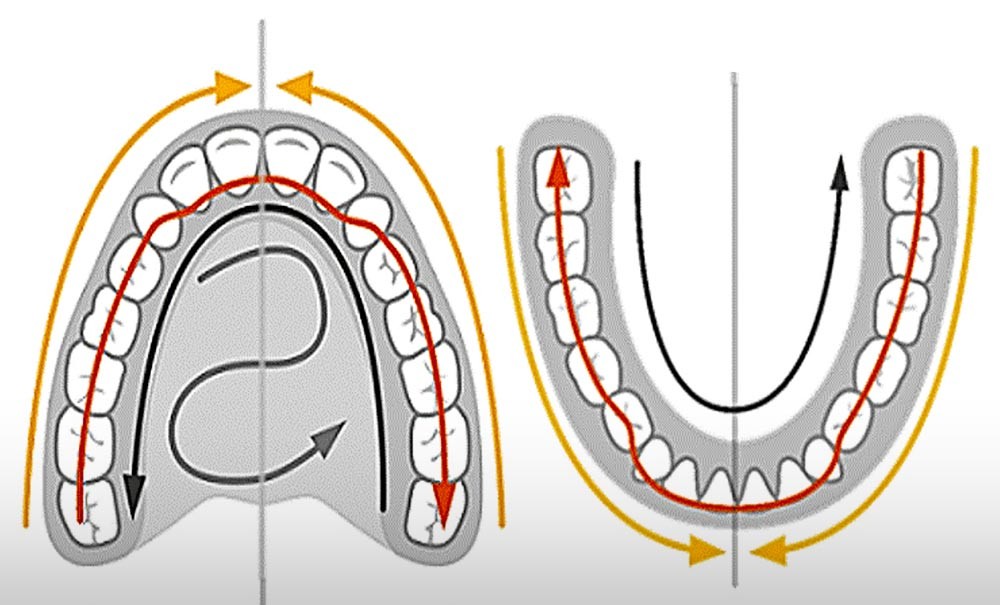L’impact des différentes plages de numérisation sur la précision de ...
